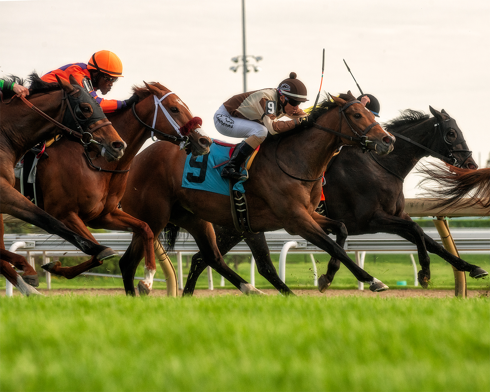 Bet Now – Horse Racing | Ontario Racing - Ontario Racing