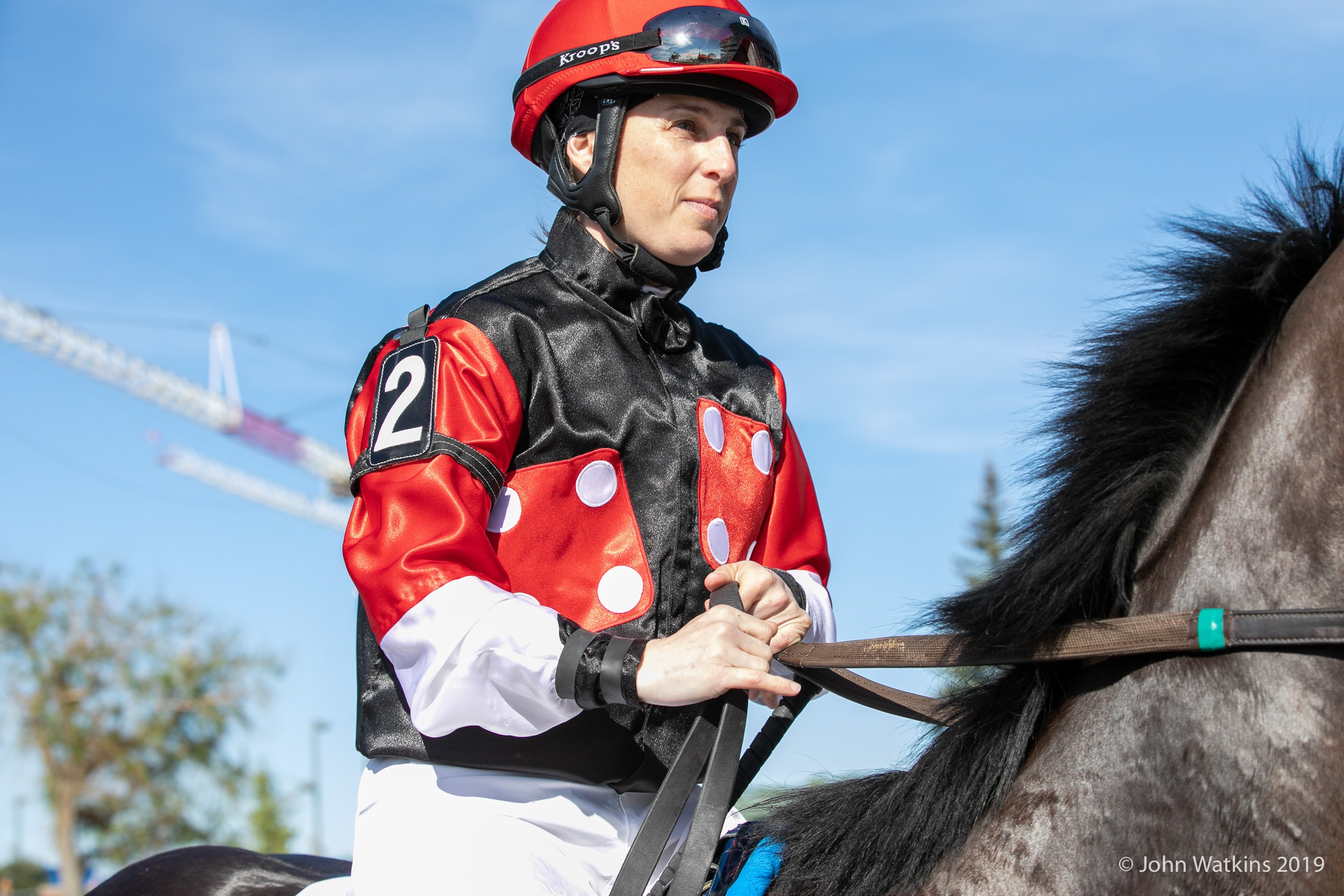 Bet Now – Horse Racing | Ontario Racing - Ontario Racing