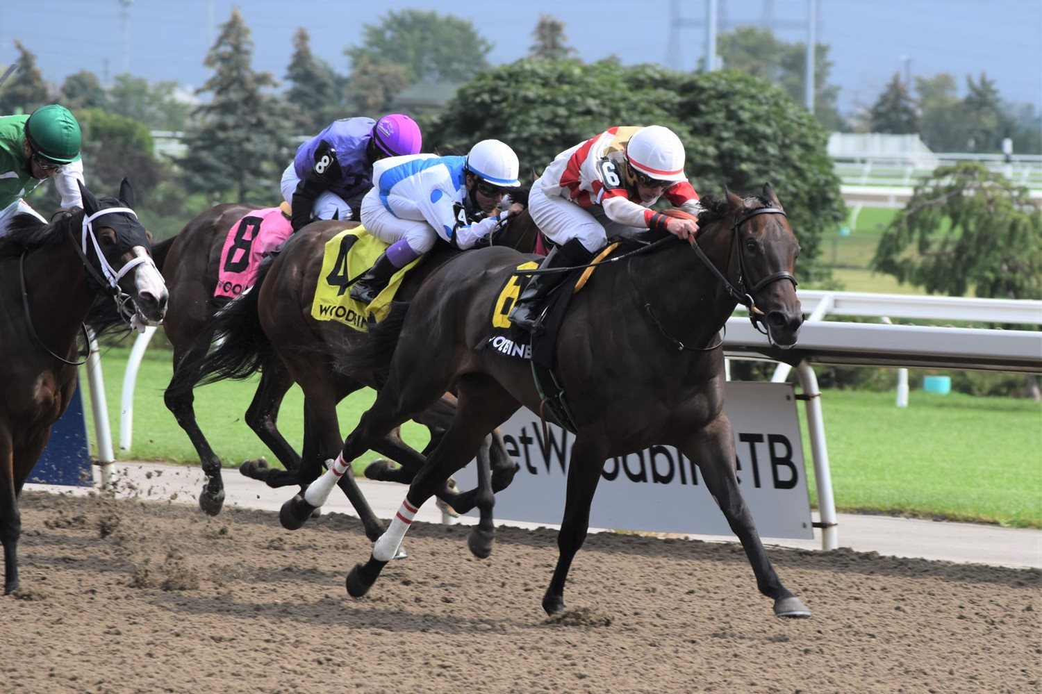 Bet Now – Horse Racing | Ontario Racing - Ontario Racing