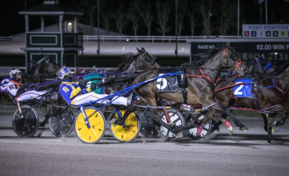 Bet Now – Horse Racing | Ontario Racing - Ontario Racing