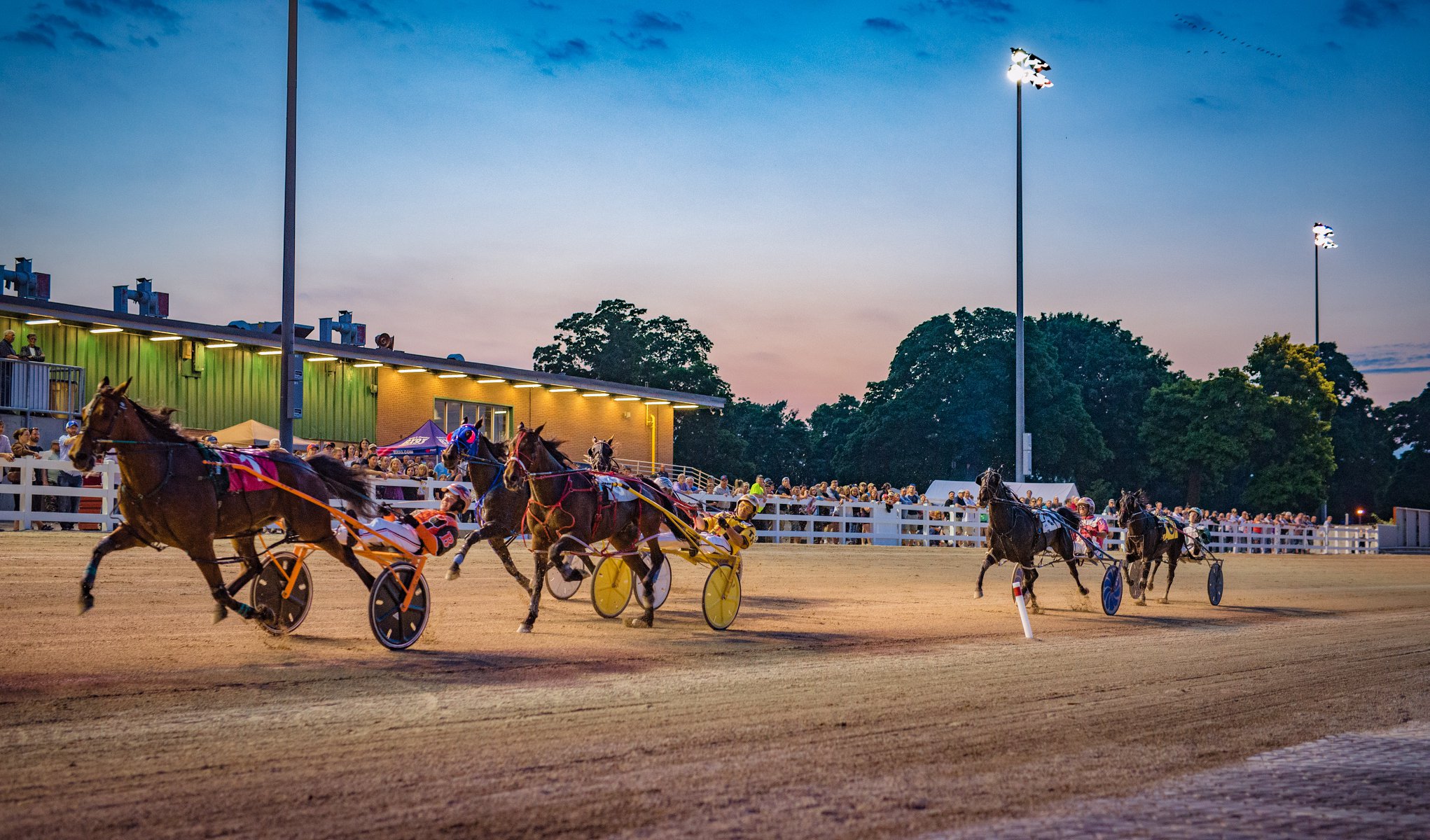 Bet Now – Horse Racing | Ontario Racing - Ontario Racing