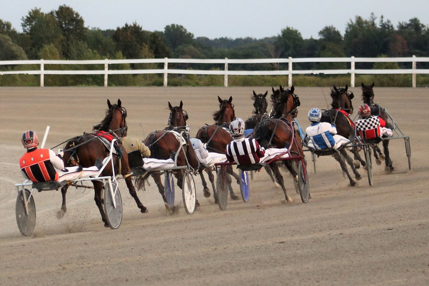 Bet Now – Horse Racing | Ontario Racing - Ontario Racing