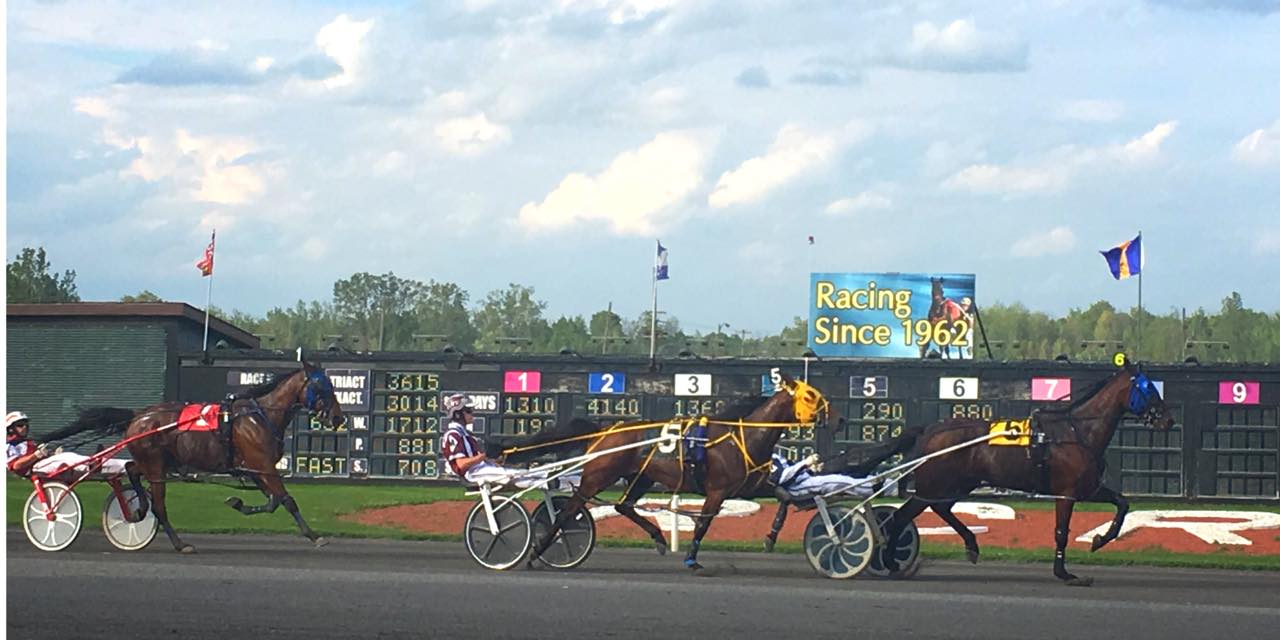 Bet Now – Horse Racing | Ontario Racing - Ontario Racing