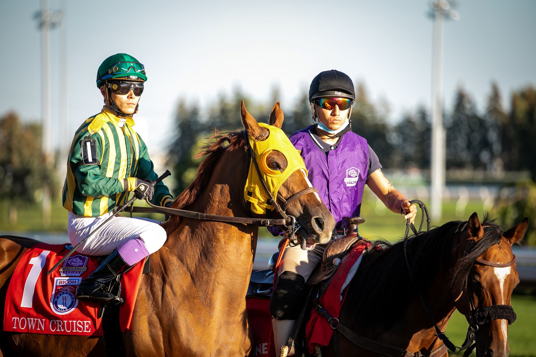 Bet Now – Horse Racing | Ontario Racing - Ontario Racing