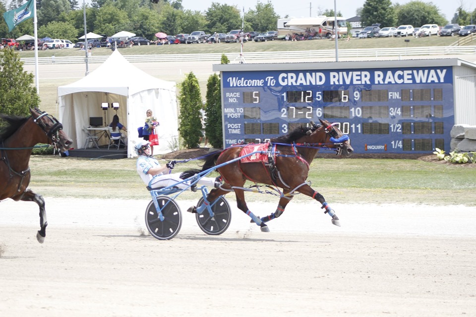 Bet Now – Horse Racing | Ontario Racing - Ontario Racing