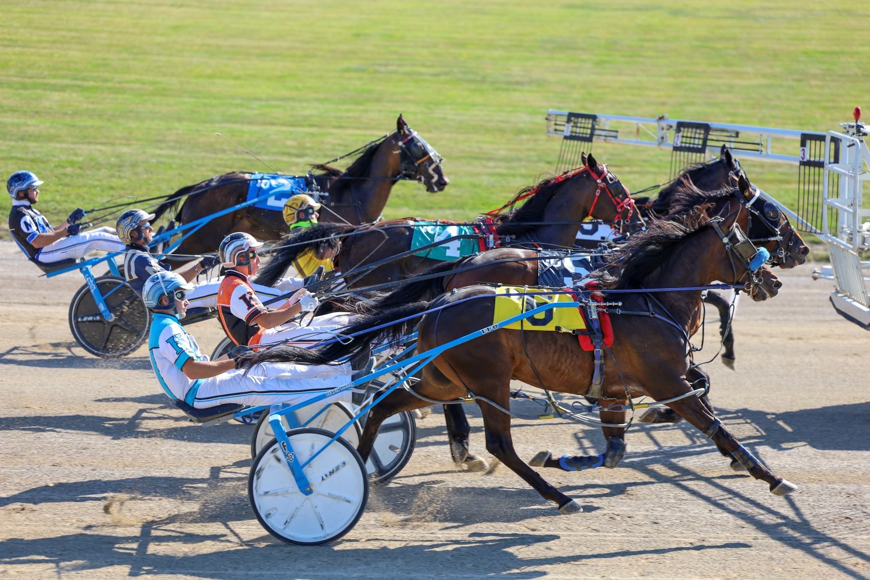 Bet Now – Horse Racing | Ontario Racing - Ontario Racing