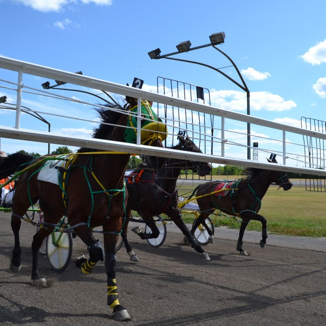 Bet Now – Horse Racing | Ontario Racing - Ontario Racing