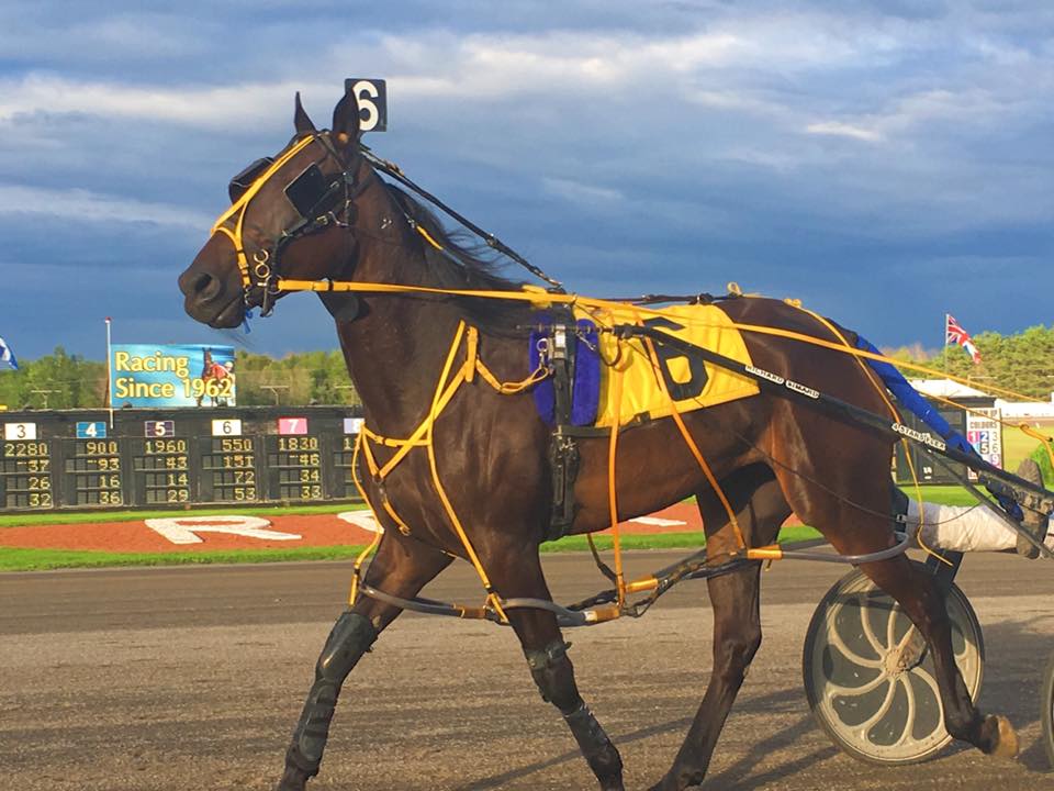 Bet Now – Horse Racing | Ontario Racing - Ontario Racing