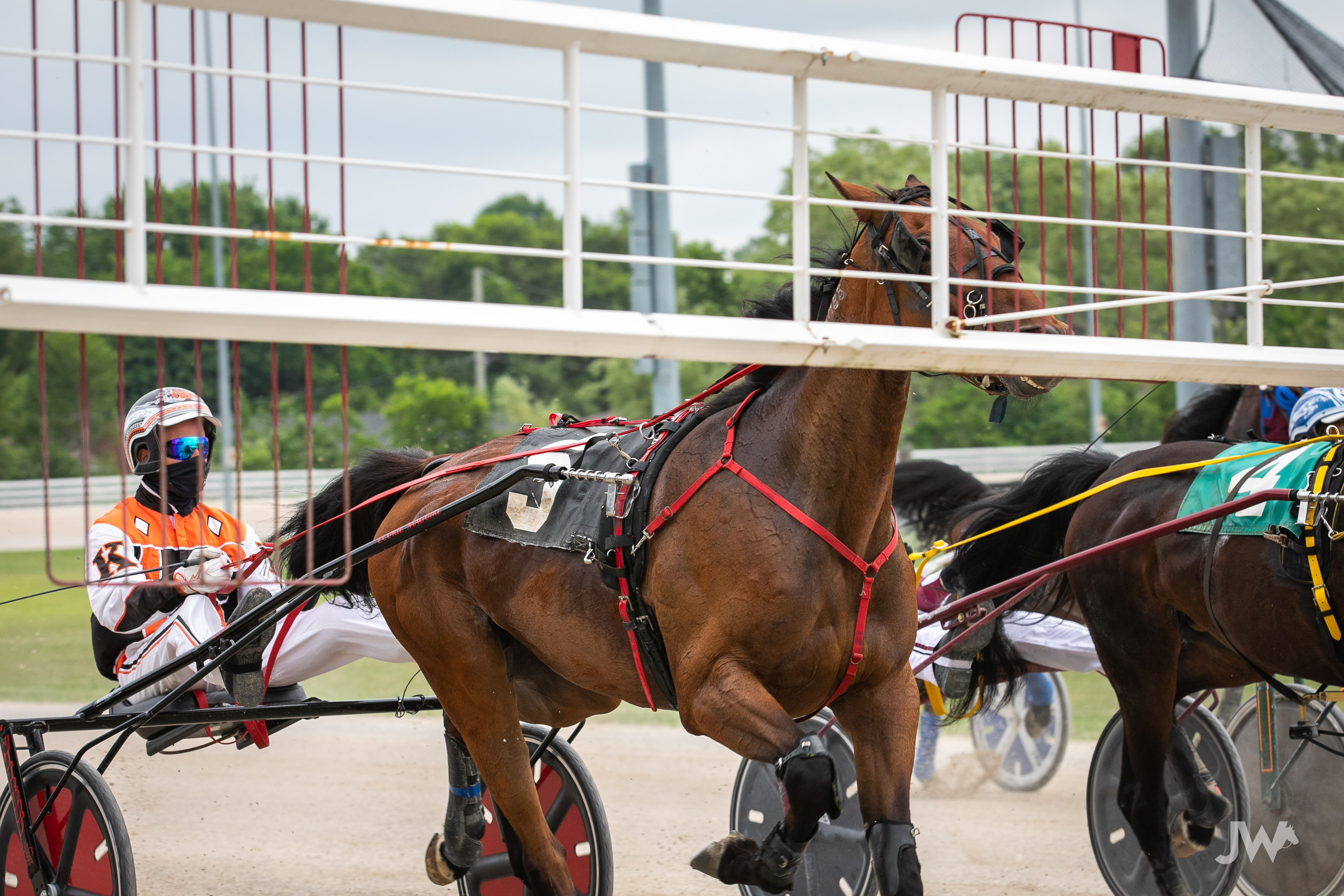 Bet Now – Horse Racing | Ontario Racing - Ontario Racing