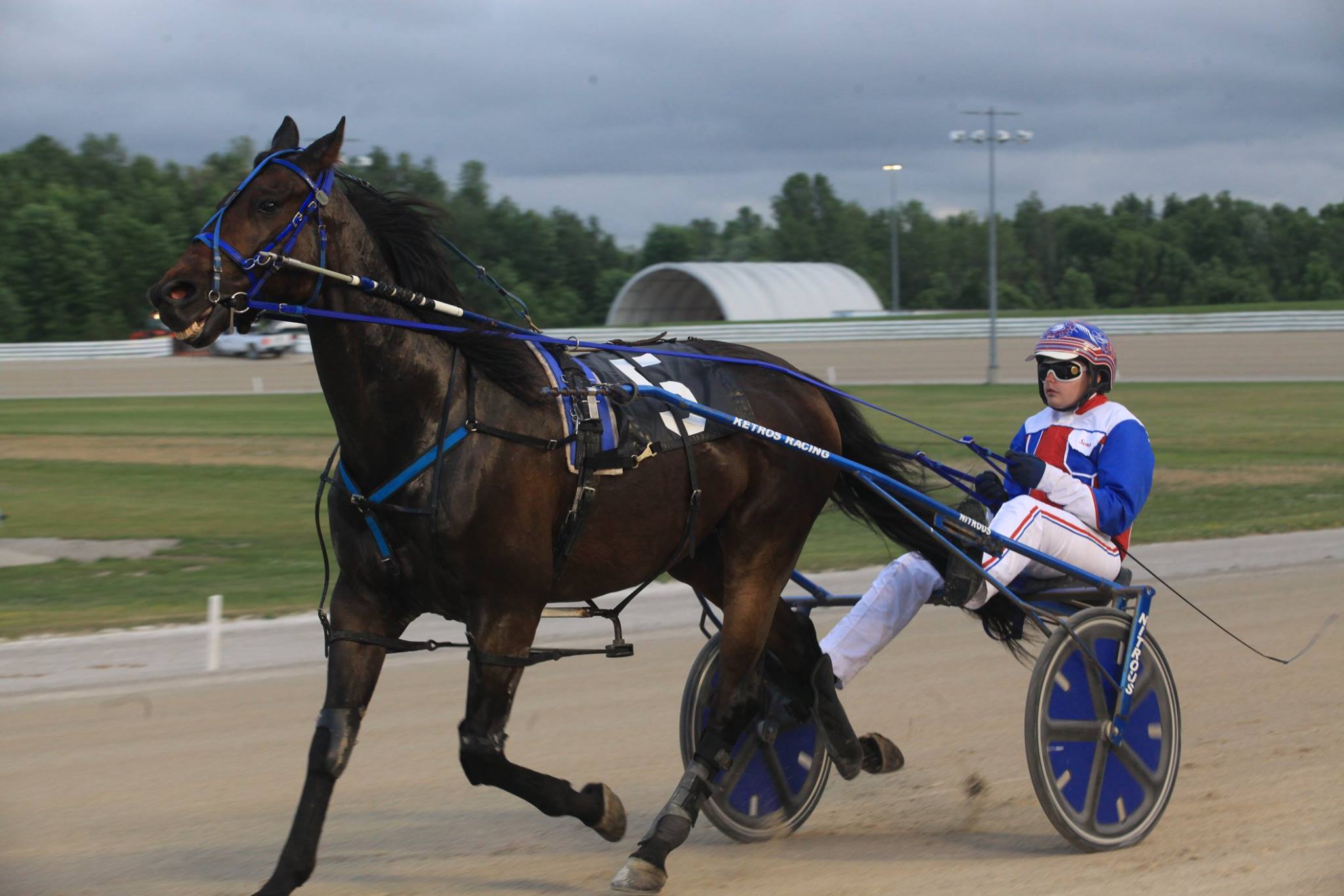 Bet Now – Horse Racing | Ontario Racing - Ontario Racing