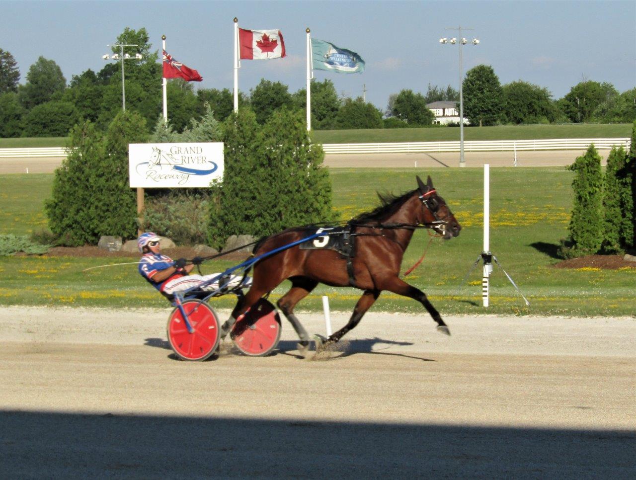 Bet Now – Horse Racing | Ontario Racing - Ontario Racing