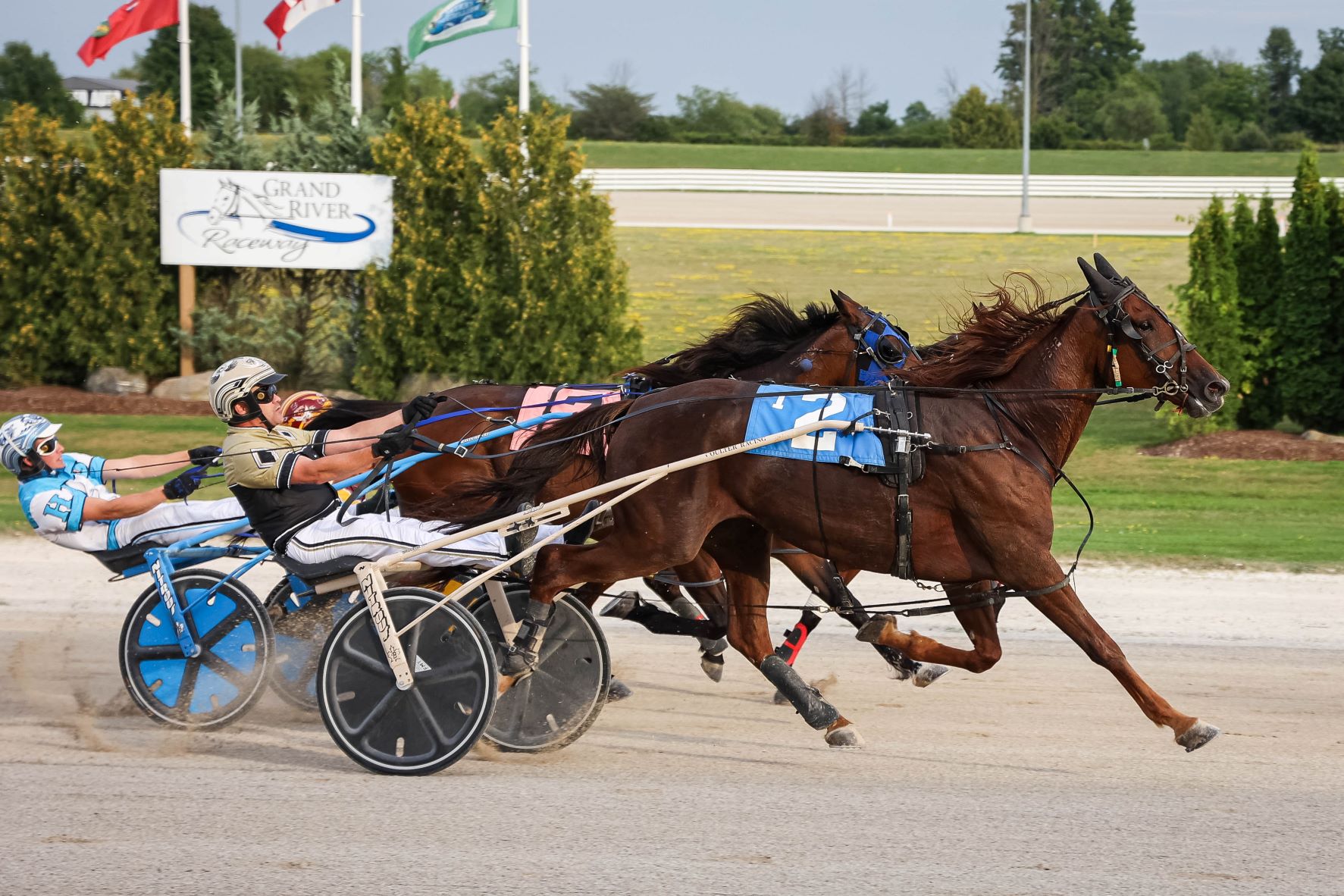 Bet Now – Horse Racing | Ontario Racing - Ontario Racing