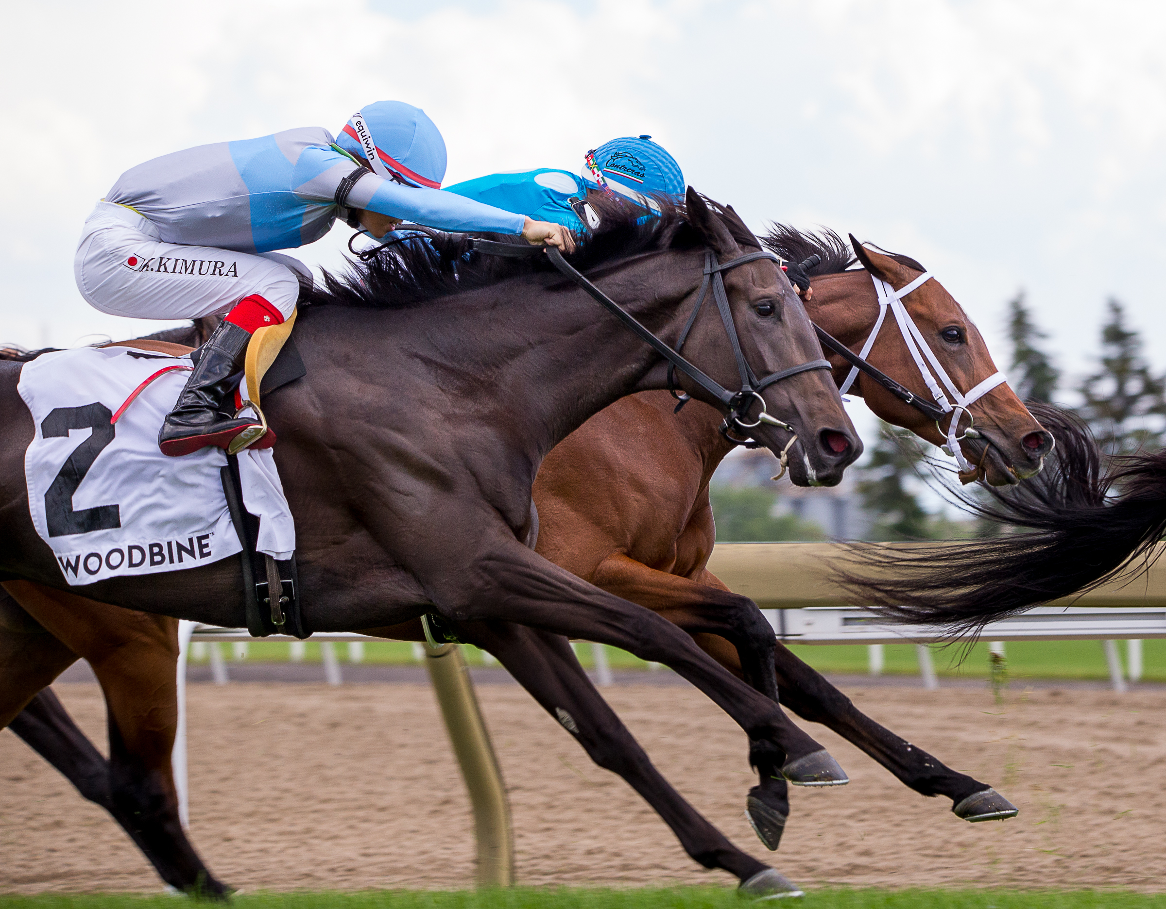 Bet Now – Horse Racing | Ontario Racing - Ontario Racing