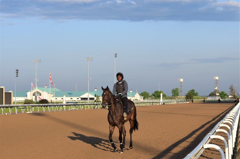 Bet Now – Horse Racing | Ontario Racing - Ontario Racing