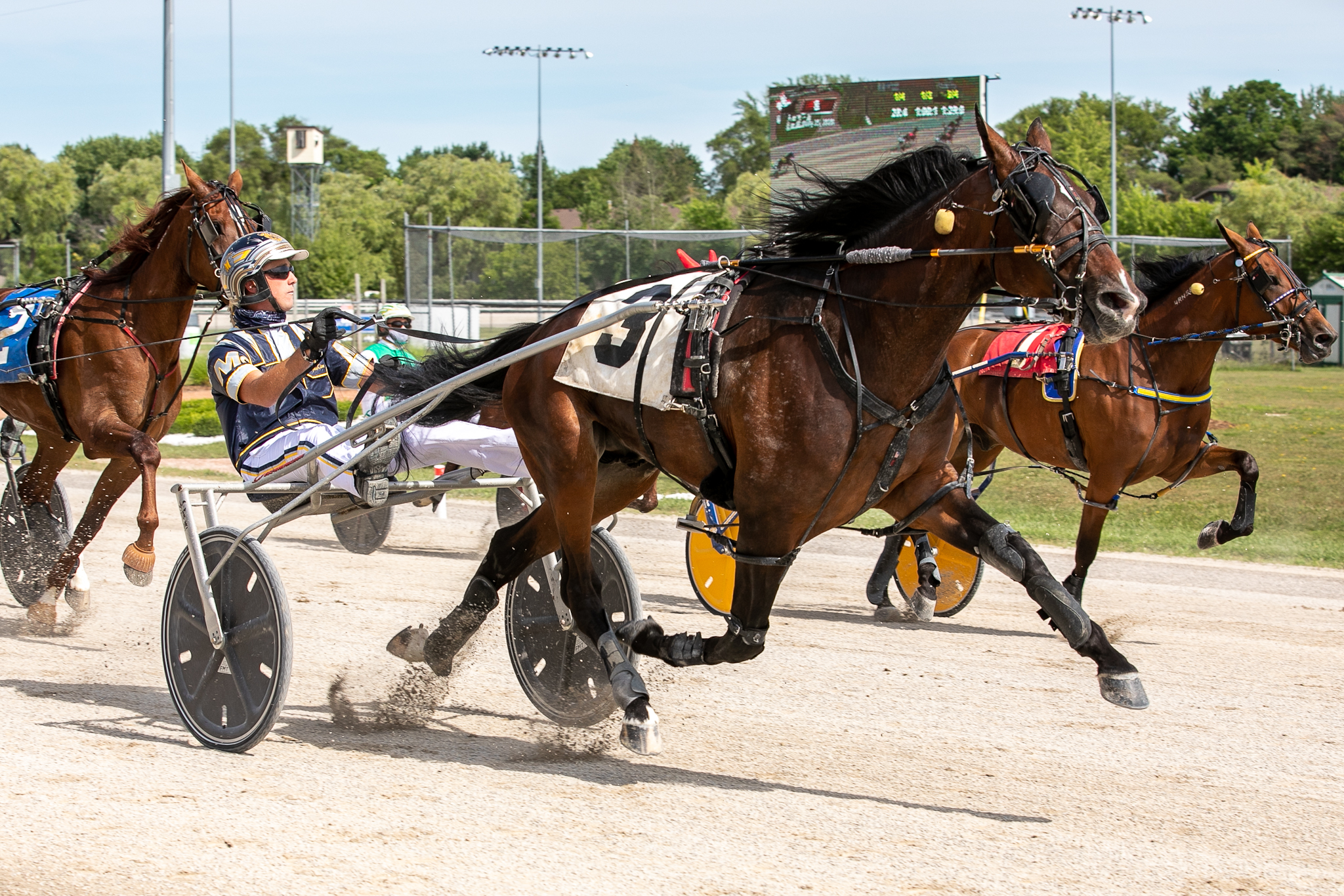 Bet Now – Horse Racing | Ontario Racing - Ontario Racing