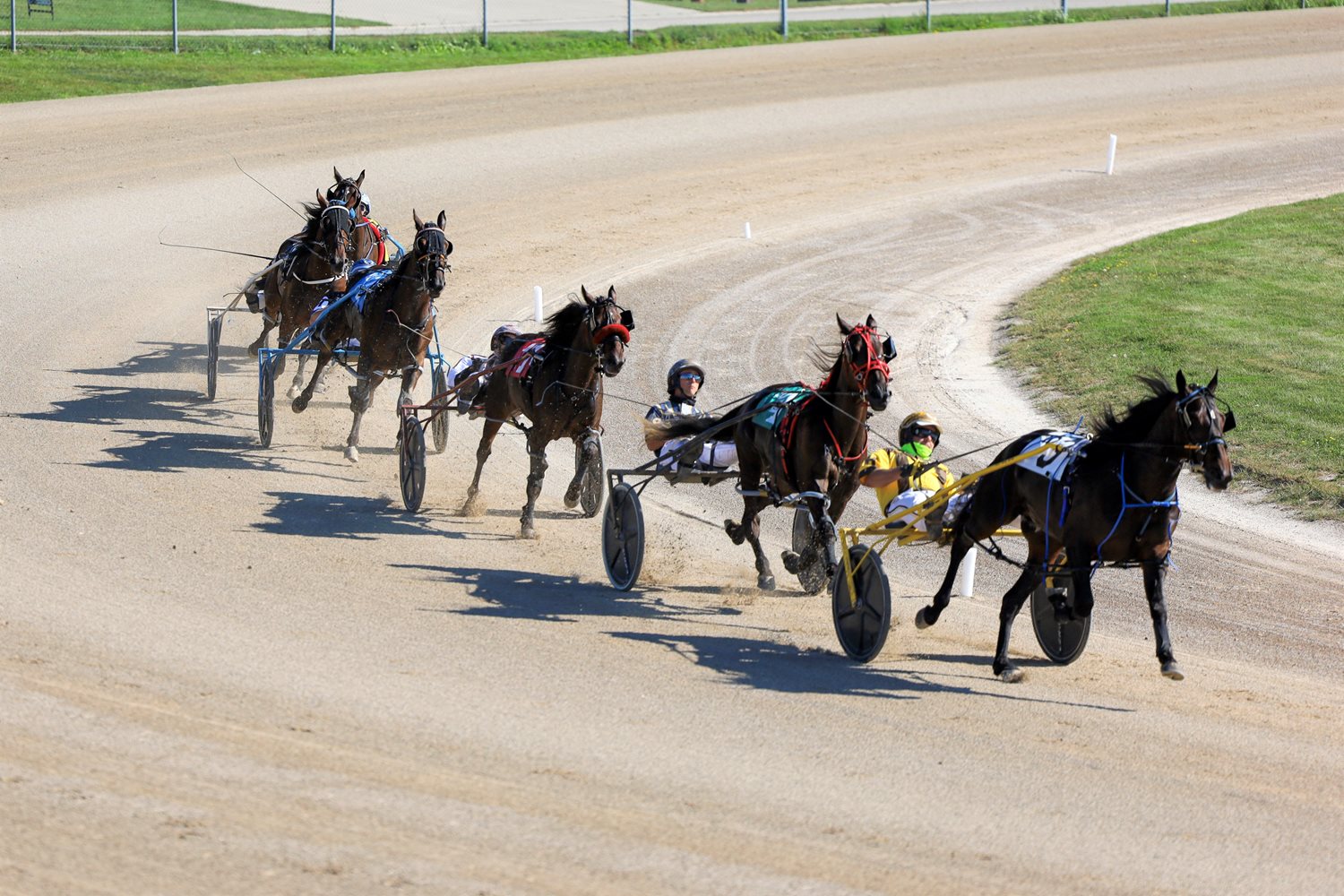 Bet Now – Horse Racing | Ontario Racing - Ontario Racing