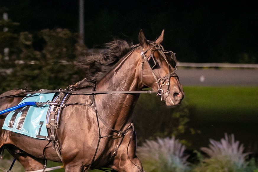 Bet Now – Horse Racing | Ontario Racing - Ontario Racing