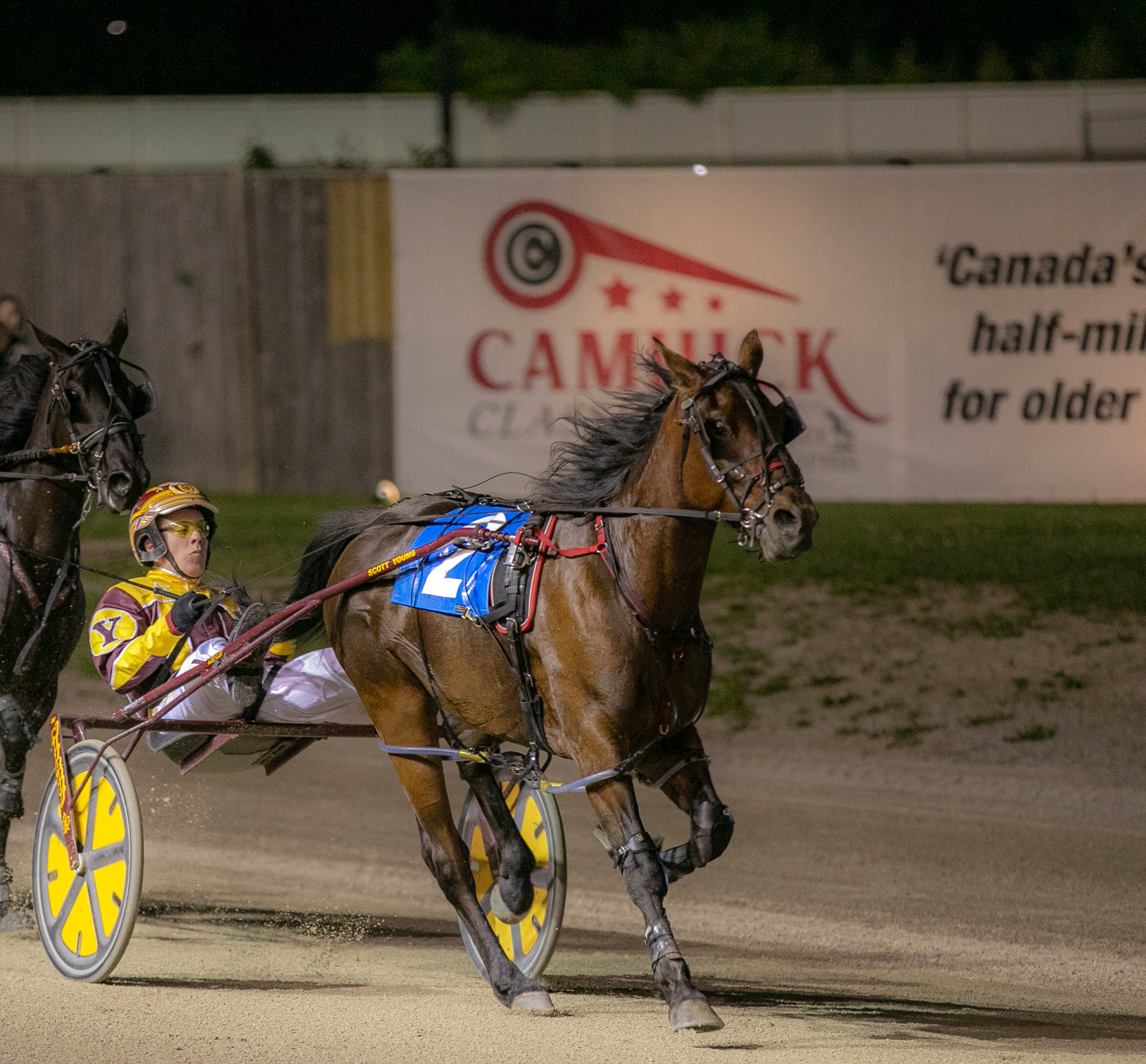 Bet Now – Horse Racing | Ontario Racing - Ontario Racing