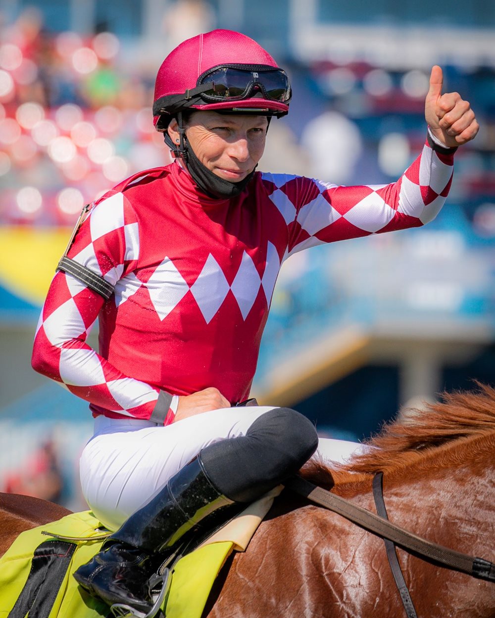 Bet Now – Horse Racing | Ontario Racing - Ontario Racing