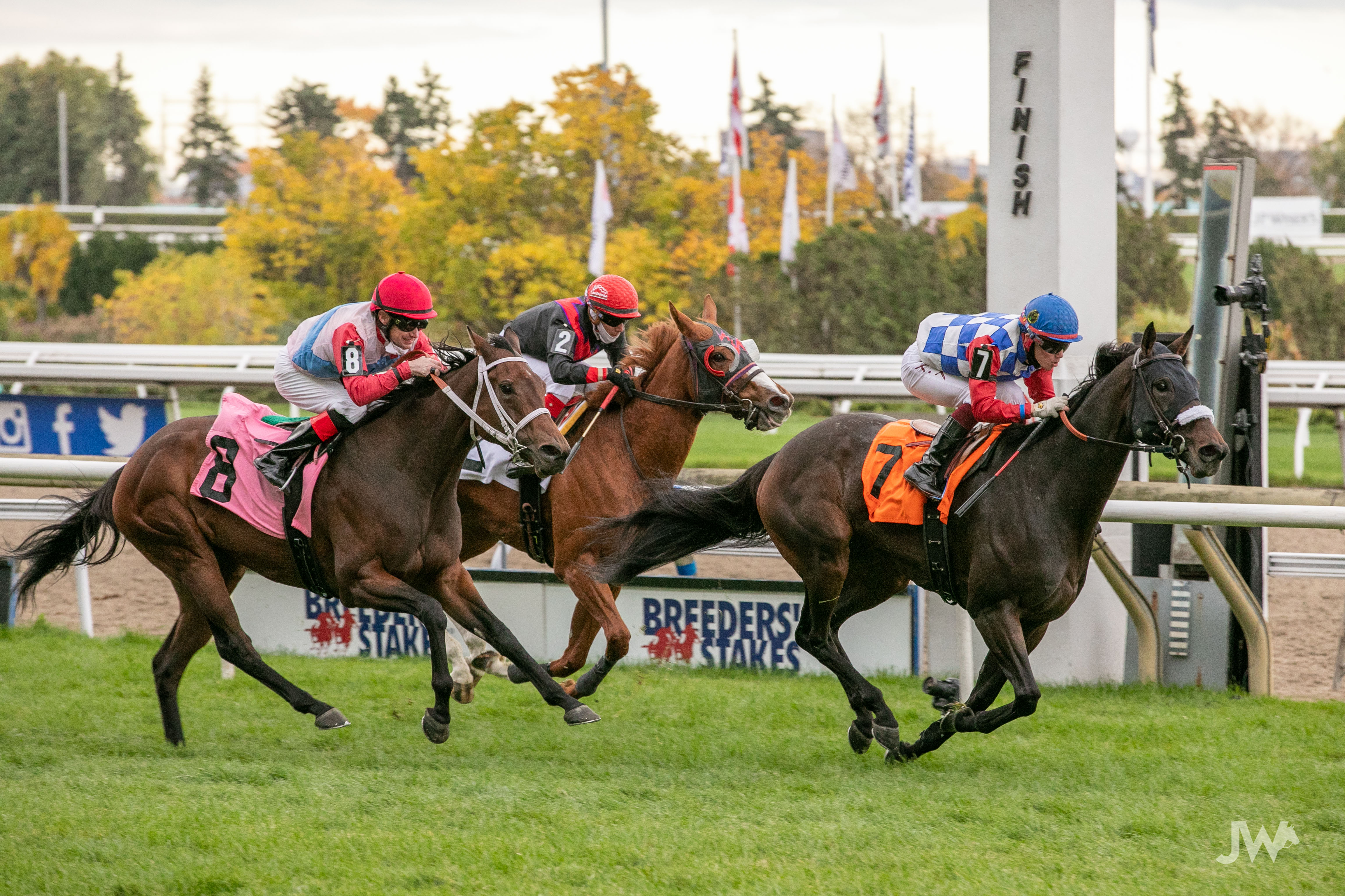 Bet Now – Horse Racing | Ontario Racing - Ontario Racing