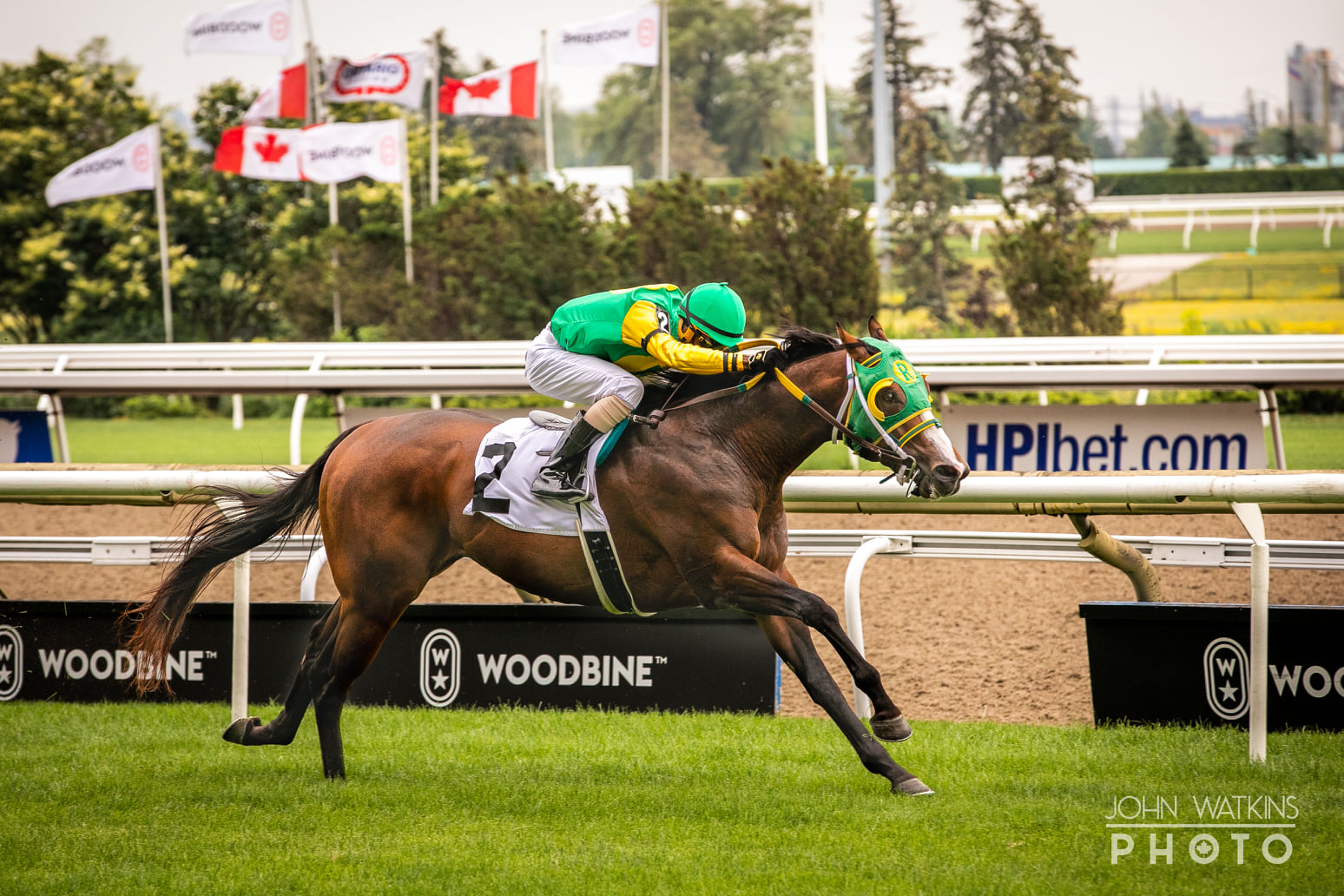 Bet Now – Horse Racing | Ontario Racing - Ontario Racing