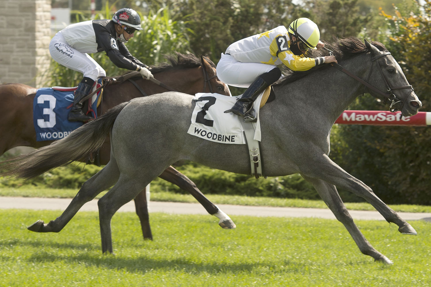 FEATURE Waiting For That Day Ontario Racing feature-waiting-for-that-day-ontario-racing