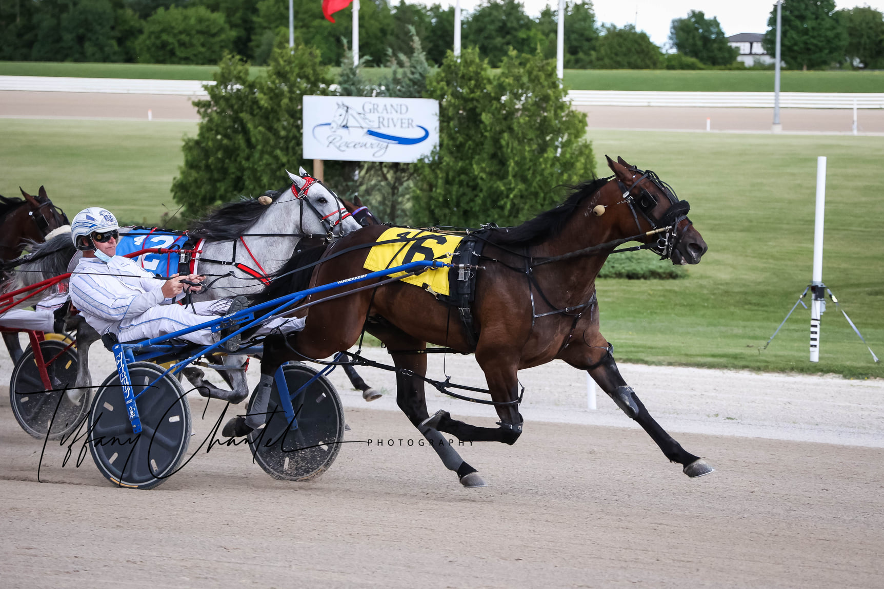 Bet Now – Horse Racing | Ontario Racing - Ontario Racing