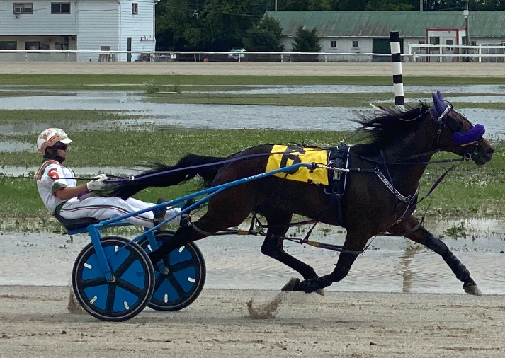 Bet Now – Horse Racing | Ontario Racing - Ontario Racing