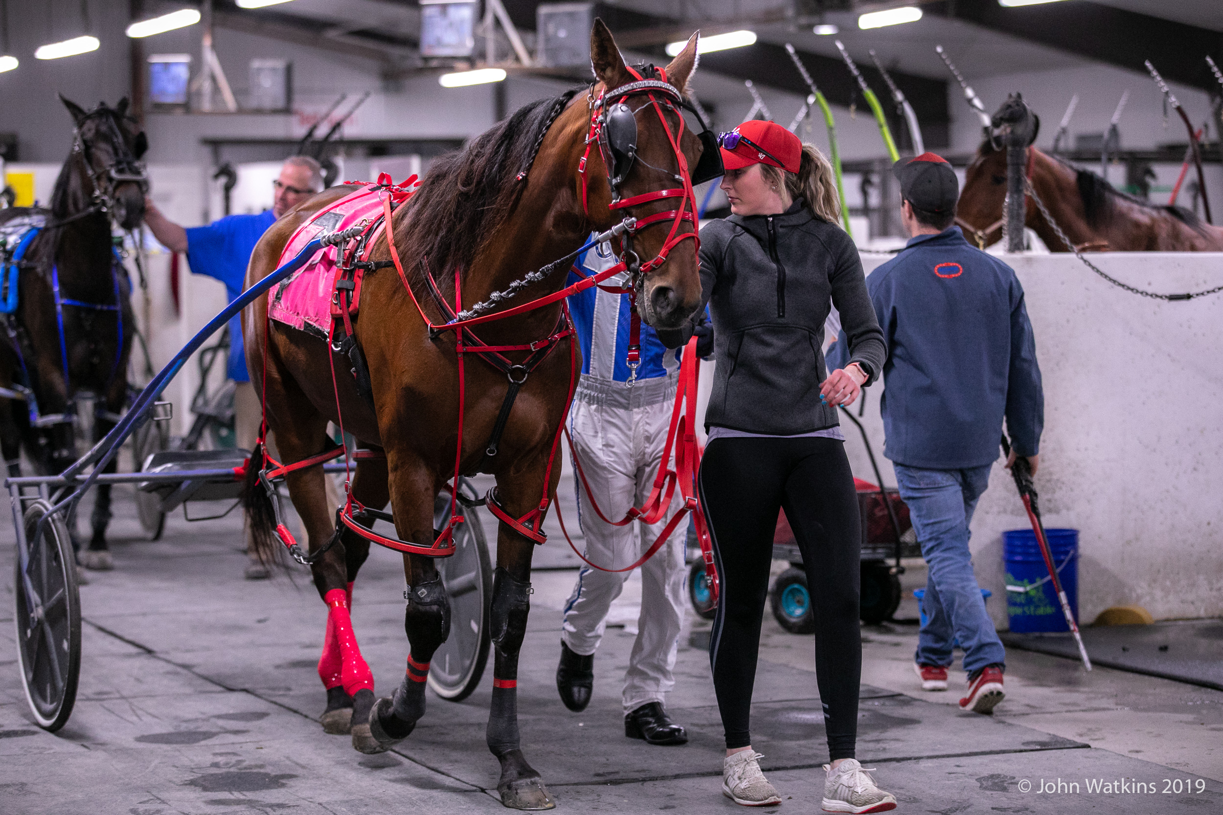 Rachel Andrew The Day The Stars Aligned Ontario Racing Rachel Andrew The Day The Stars Aligned Ontario Racing