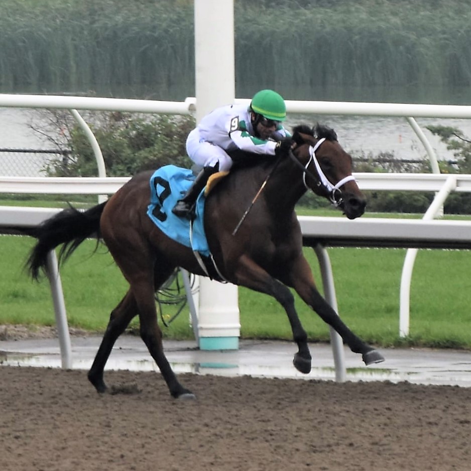 Bet Now – Horse Racing | Ontario Racing - Ontario Racing