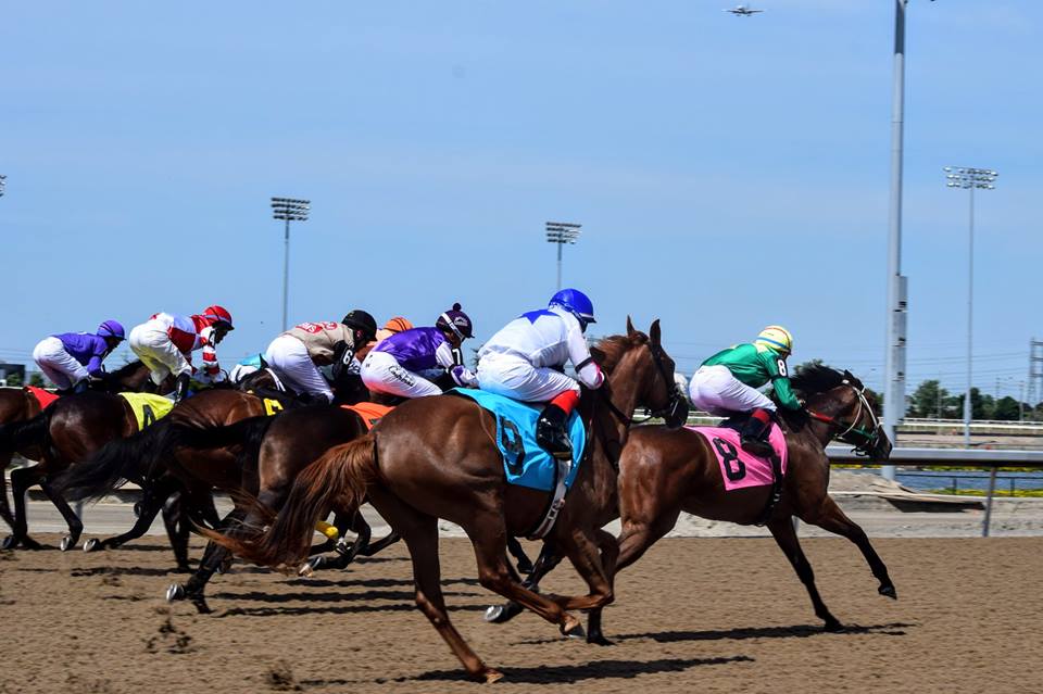 Bet Now – Horse Racing | Ontario Racing - Ontario Racing