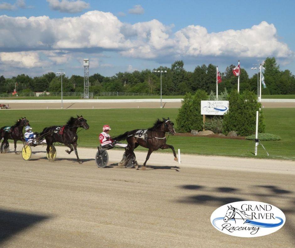Bet Now – Horse Racing | Ontario Racing - Ontario Racing