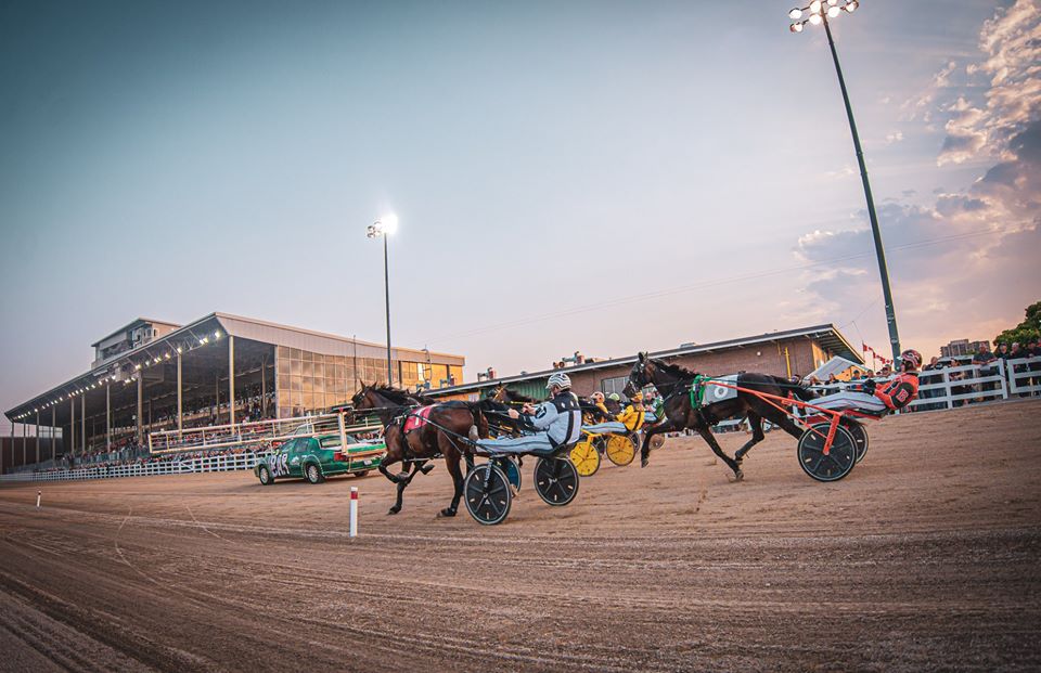 Bet Now – Horse Racing | Ontario Racing - Ontario Racing