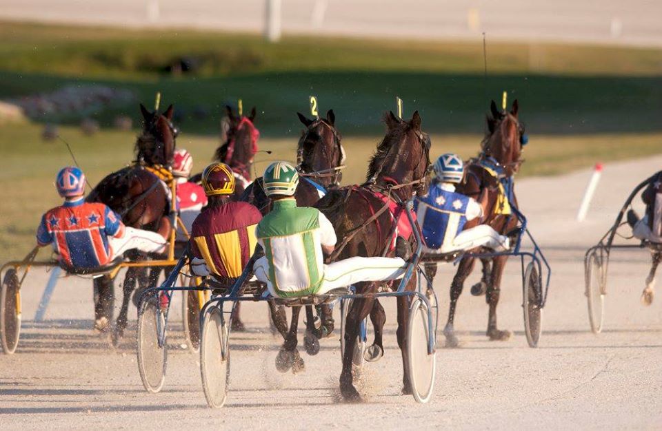 Bet Now – Horse Racing | Ontario Racing - Ontario Racing