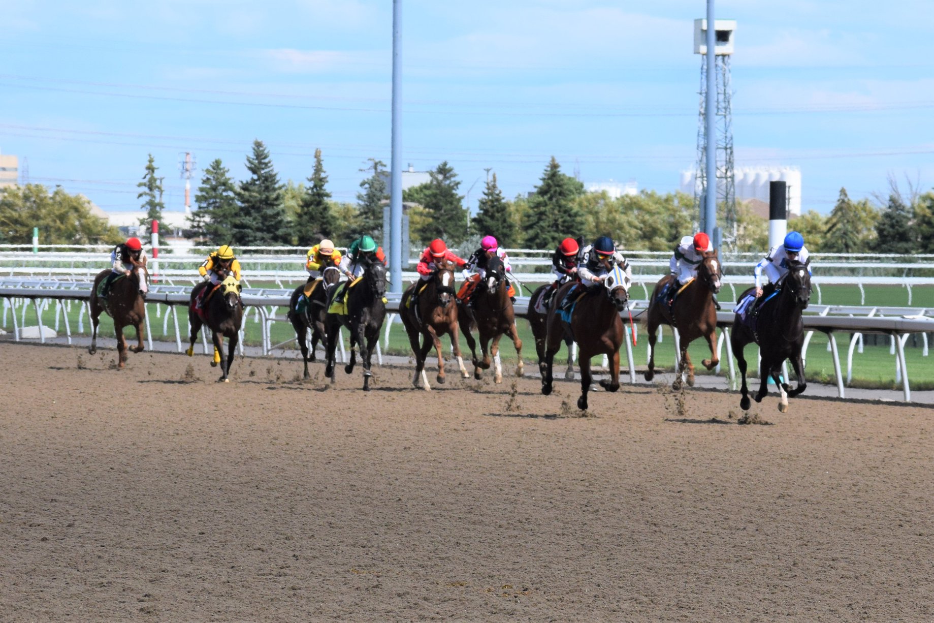 Bet Now – Horse Racing | Ontario Racing - Ontario Racing