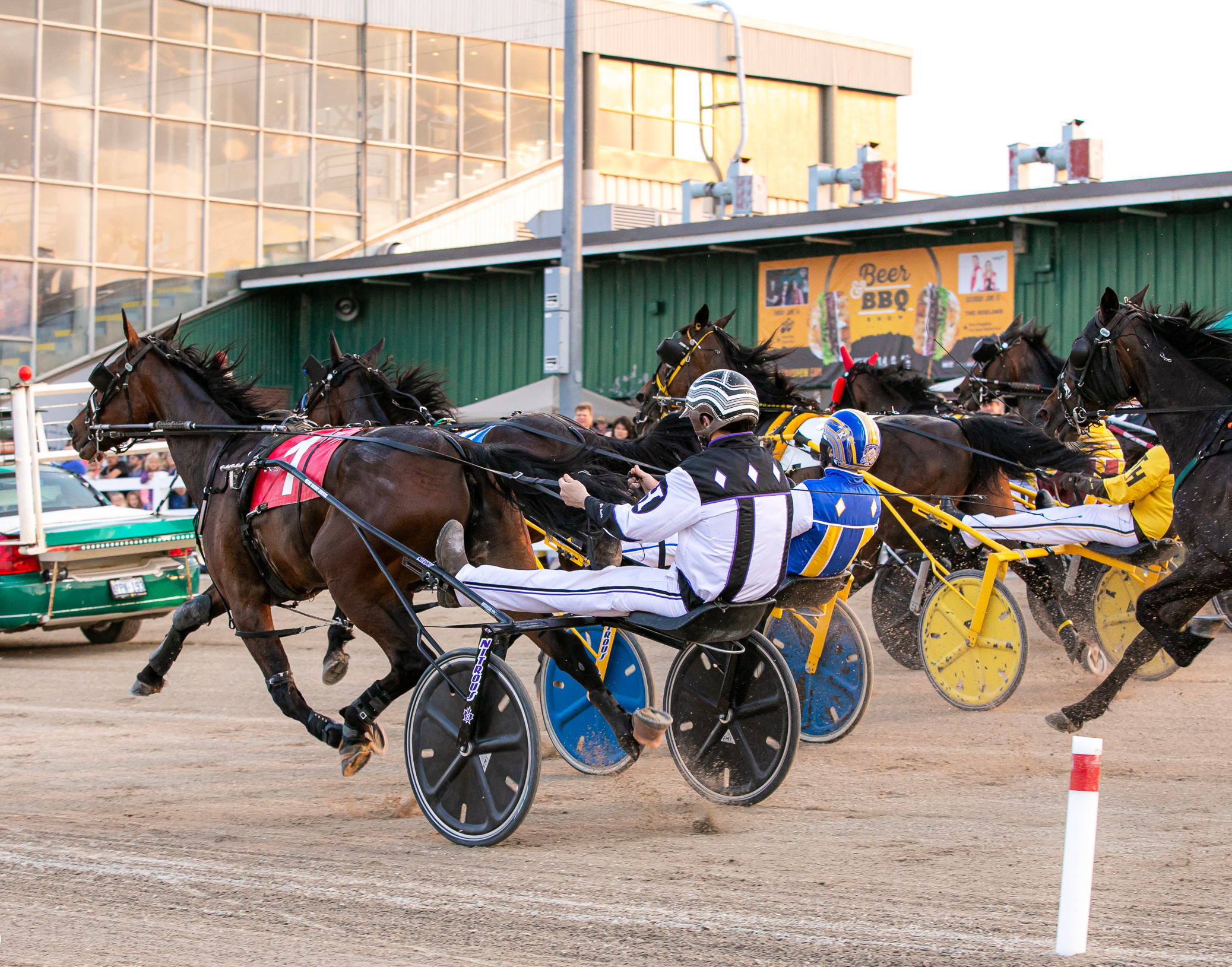 Bet Now – Horse Racing | Ontario Racing - Ontario Racing