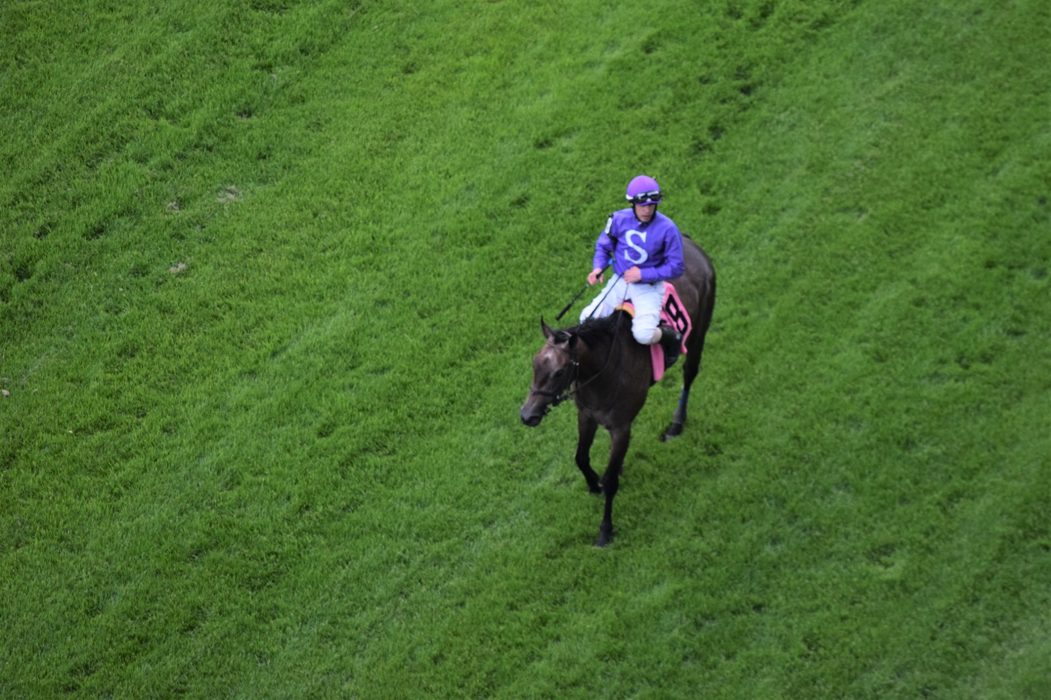 Bet Now – Horse Racing | Ontario Racing - Ontario Racing