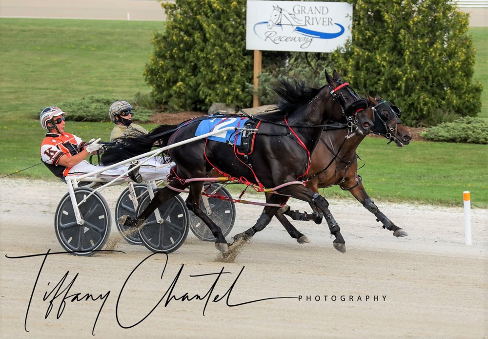 Bet Now – Horse Racing | Ontario Racing - Ontario Racing