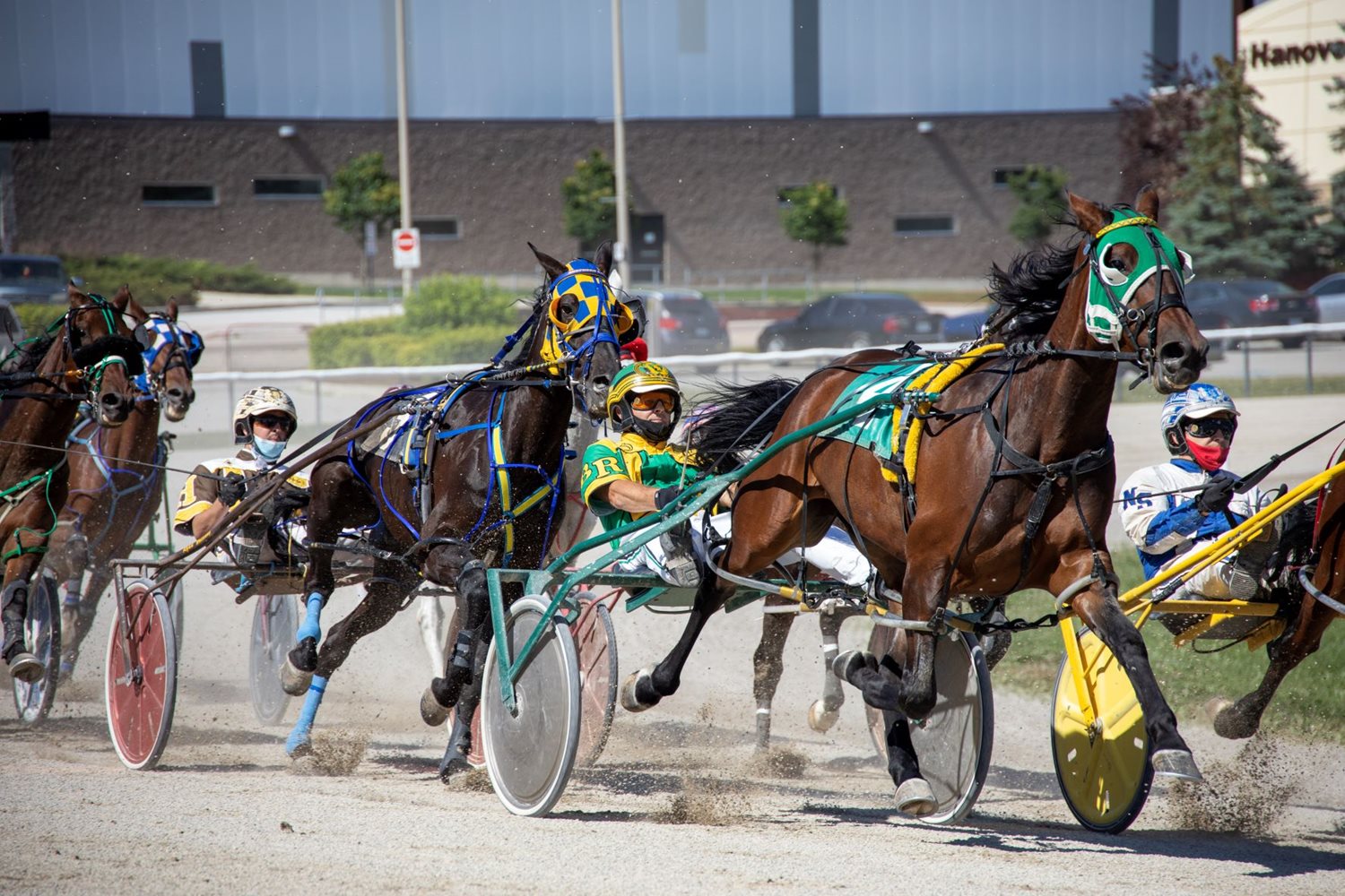 Bet Now – Horse Racing | Ontario Racing - Ontario Racing