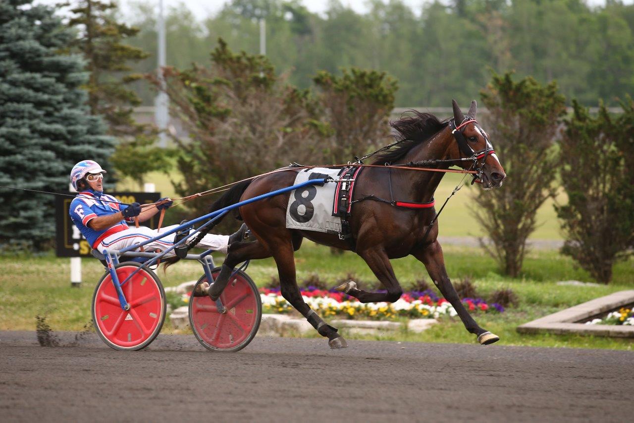 Gold Series trotters make history in Elora - Ontario Racing