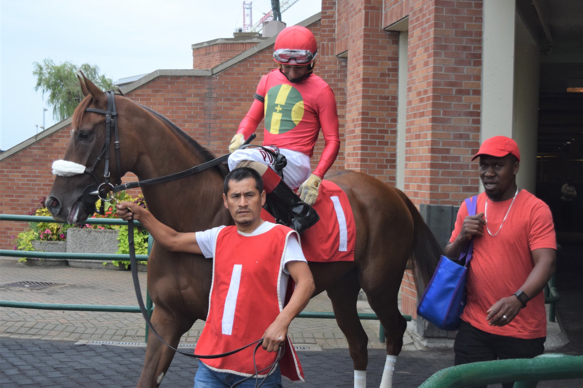 Bet Now – Horse Racing | Ontario Racing - Ontario Racing