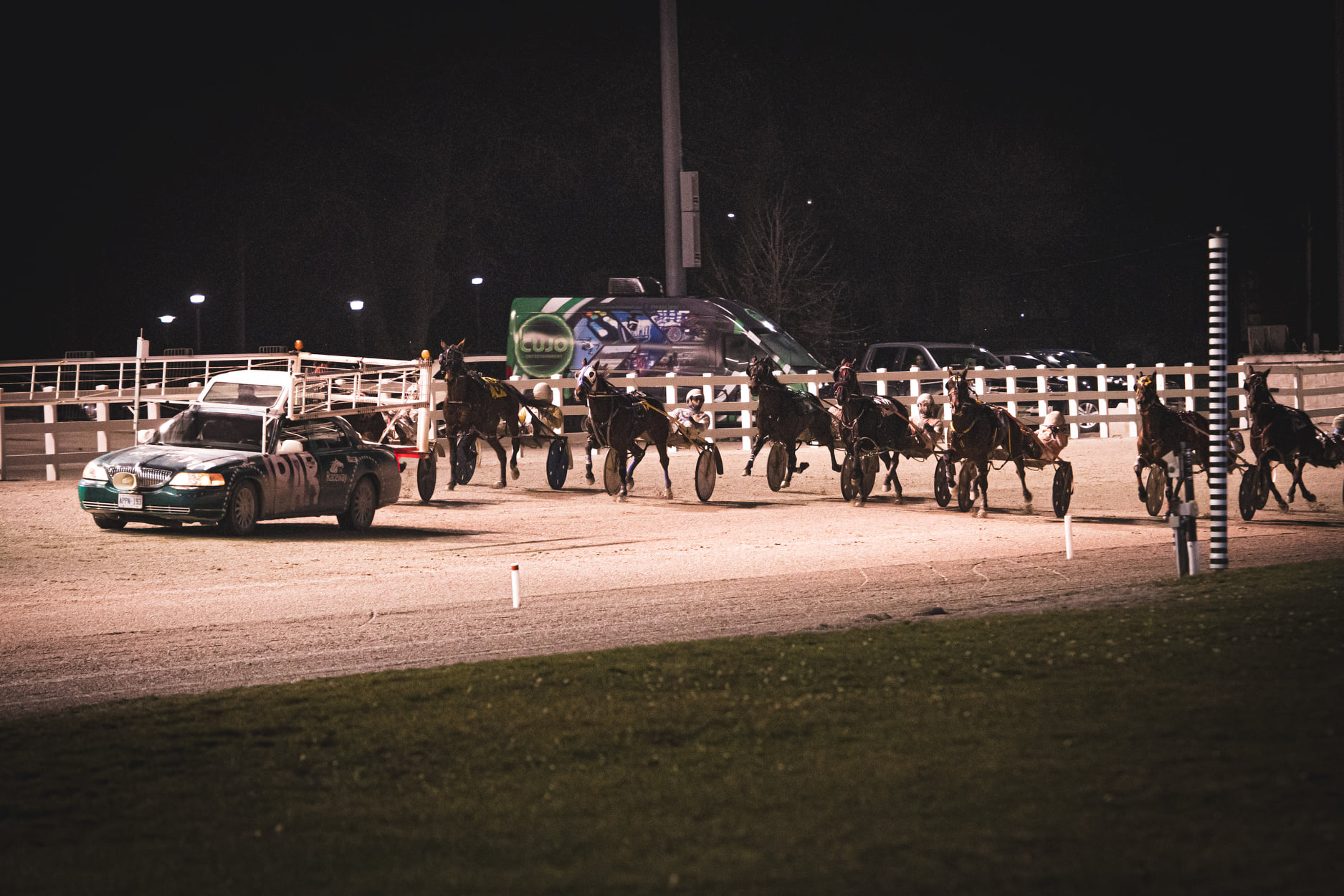 Bet Now – Horse Racing | Ontario Racing - Ontario Racing