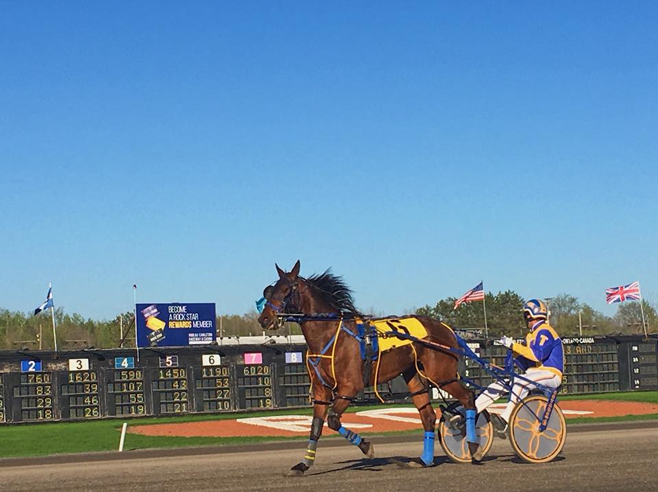 Bet Now – Horse Racing | Ontario Racing - Ontario Racing