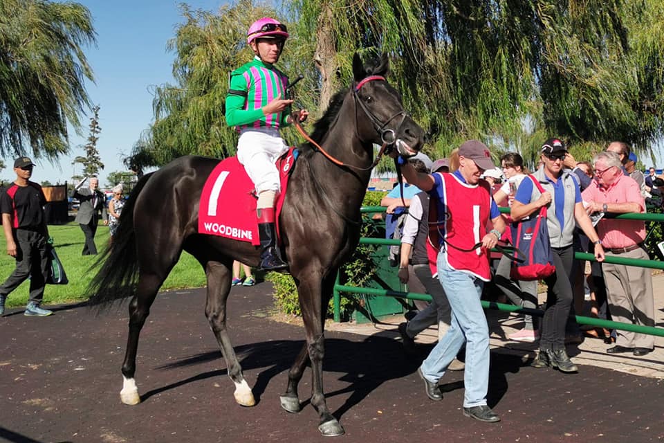 Bet Now – Horse Racing | Ontario Racing - Ontario Racing